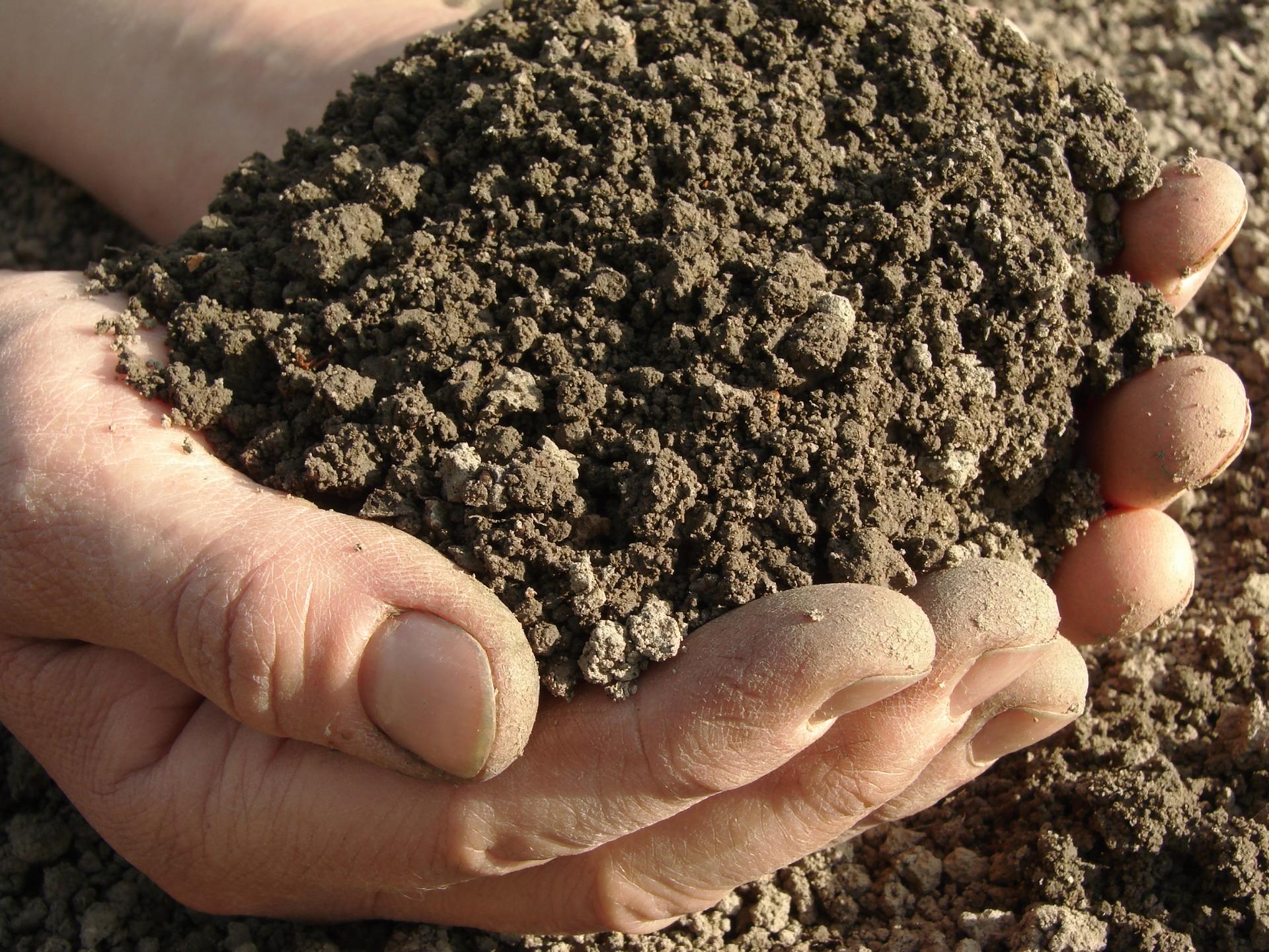 Understanding Soil Compaction for Spring